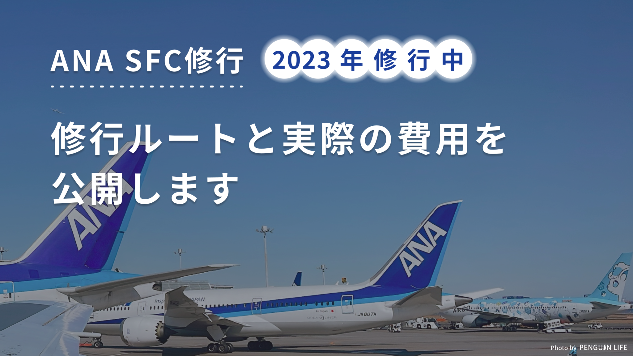 【ANA SFC修行2023】実際の費用と修行ルートを公開（修行中）