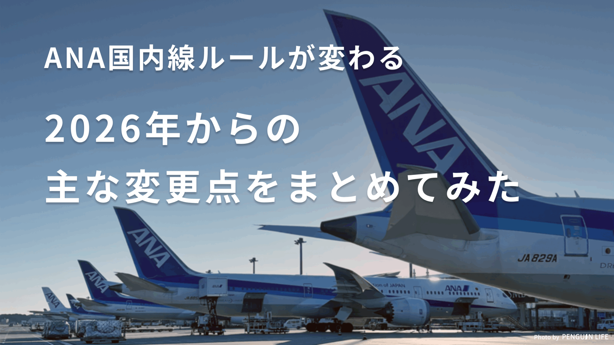 2026年SFC修行の最短ルートは？実施時期とルートを選ぶおすすめポイント